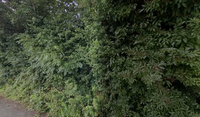 NCRS Ballynahallin, Dublin | Auto repair shop